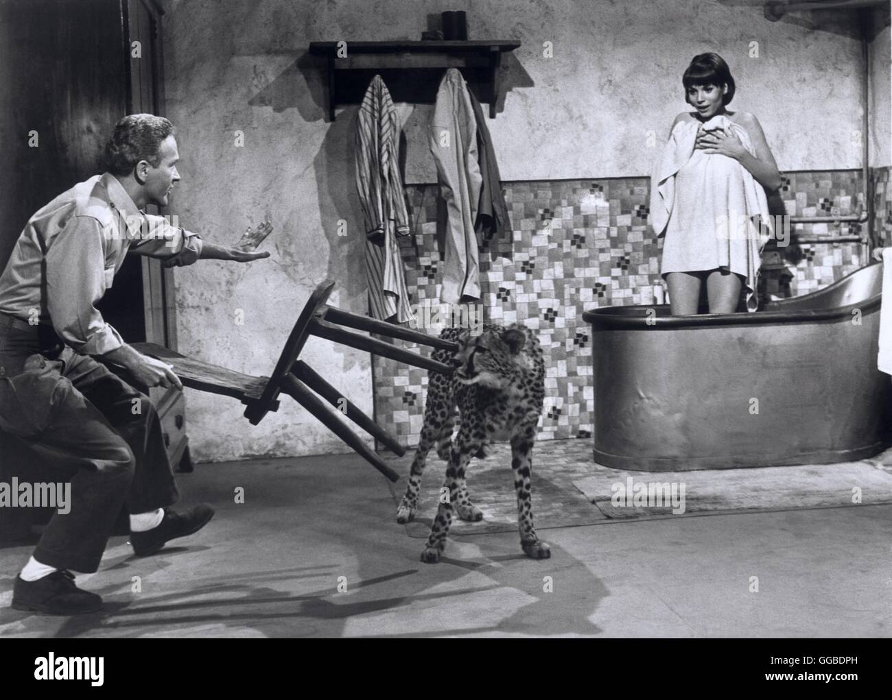 HATARI USA 1962 Howard Hawks Taschen (rote Taste), die sanfte Jagd ...