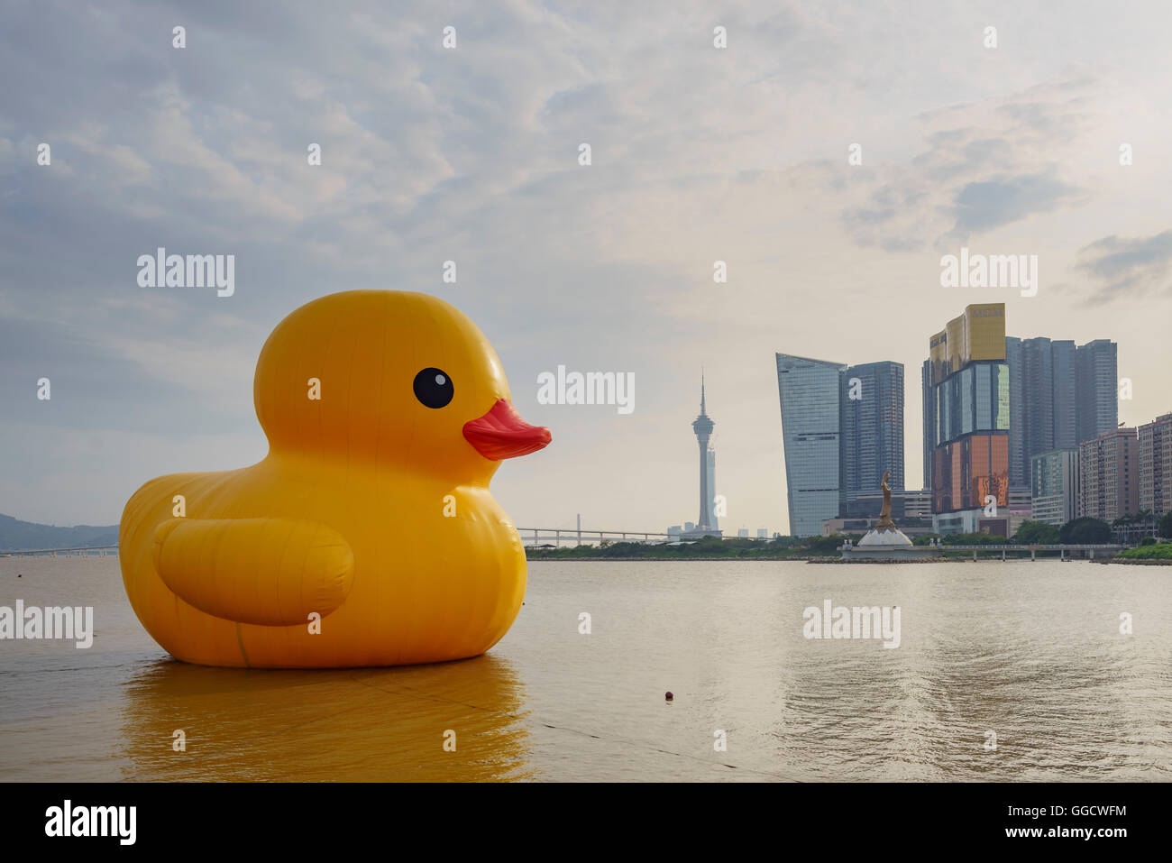 Gelbe enten -Fotos und -Bildmaterial in hoher Auflösung – Alamy