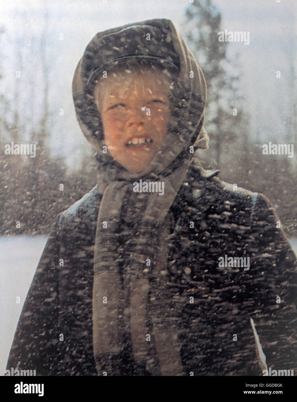 ASTRID LINDGREN: MICHEL AUS LÖNNEBERGA/IMMER ARTIKELWORT MICHEL ...