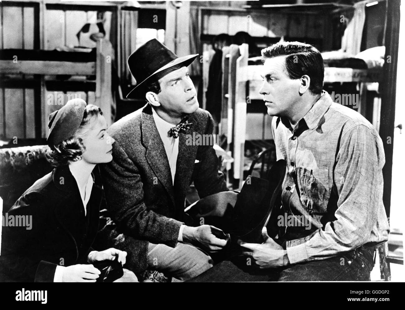 DER COWBOY, DES GAB ES ZWEIMAL / Callaway ging Lehre USA 1951 / Melvin ...