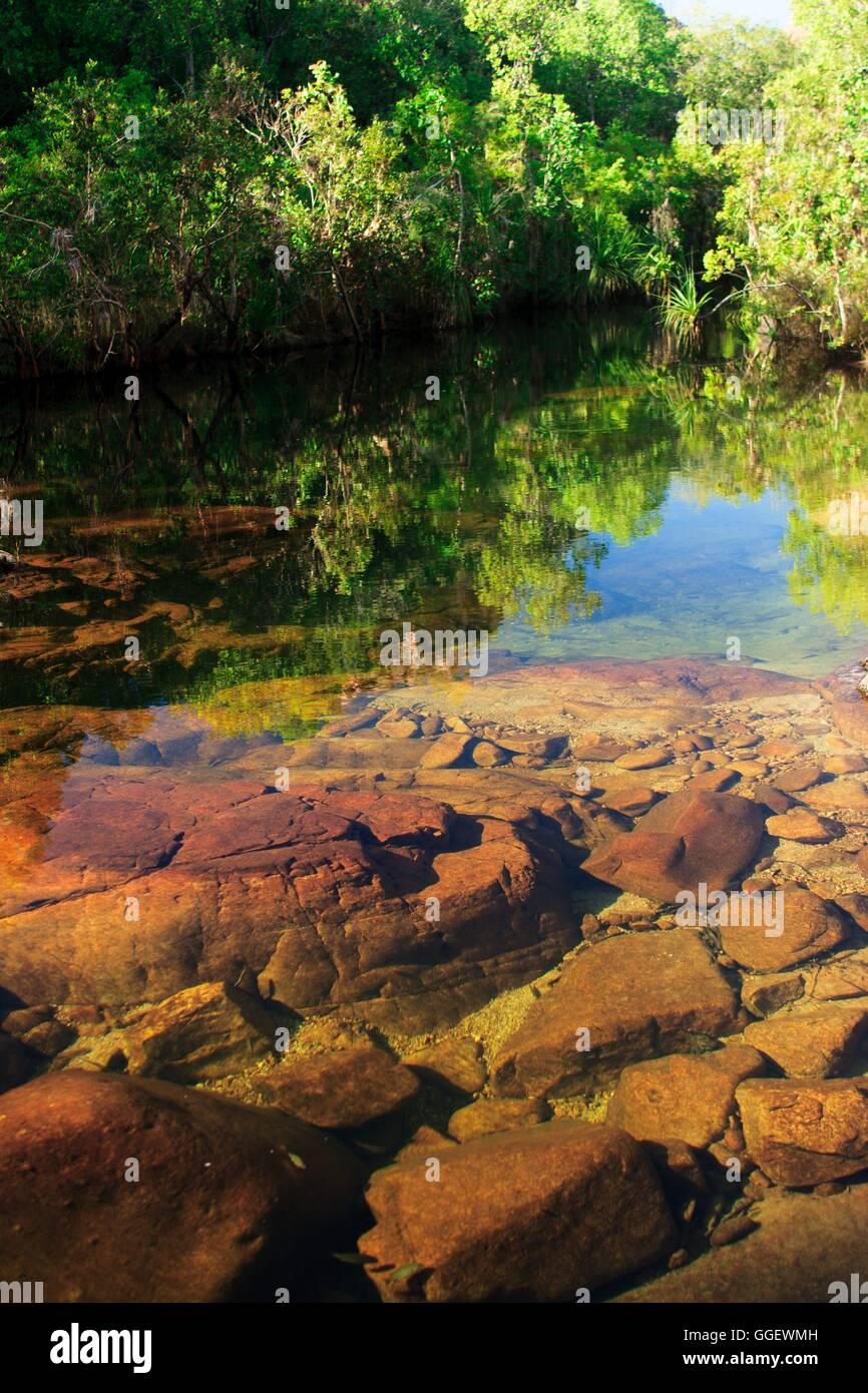 Australischer kakadu nationalpark nationalpark darwin -Fotos und -Bildmaterial in hoher ...