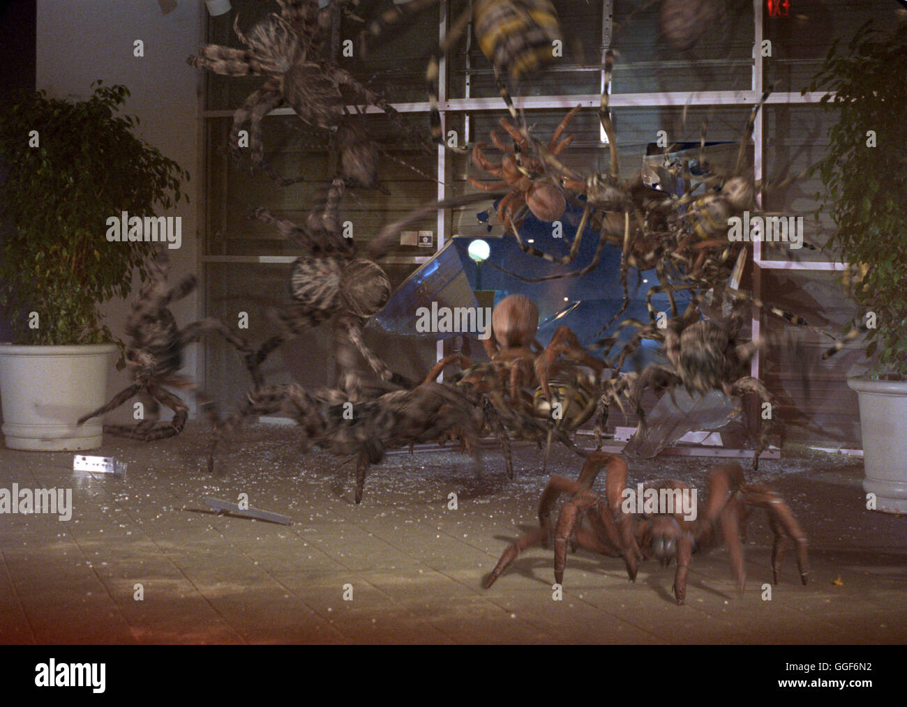 Arac attack angriff der achtbeinigen -Fotos und -Bildmaterial in hoher ...