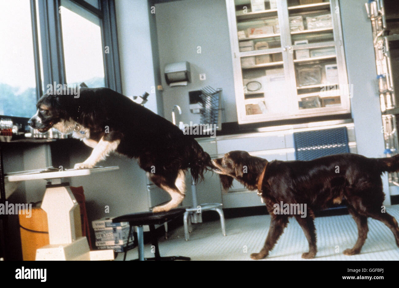 Fluke film -Fotos und -Bildmaterial in hoher Auflösung – Alamy