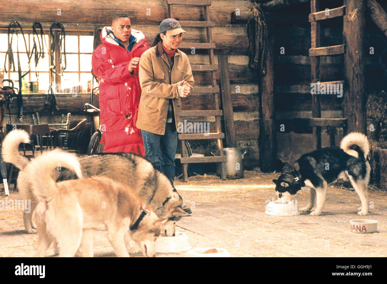 SNOW DOGS - 8 HELDEN AUF 4 PFOTEN / Snow Dogs USA 2002 / Brian Levant ...