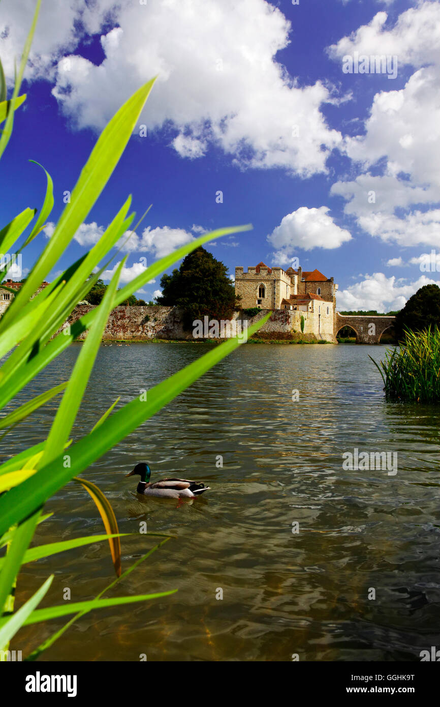 Brit britannien -Fotos und -Bildmaterial in hoher Auflösung – Alamy