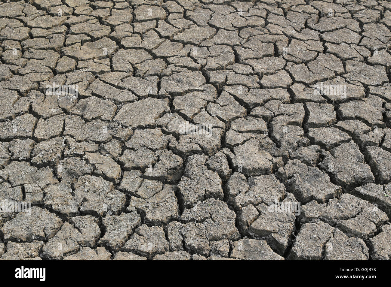 Soil texture -Fotos und -Bildmaterial in hoher Auflösung – Alamy