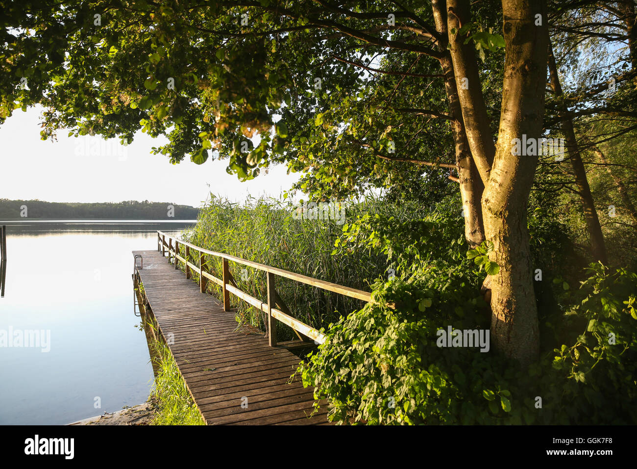 Uckermark germany lake -Fotos und -Bildmaterial in hoher Auflösung – Alamy