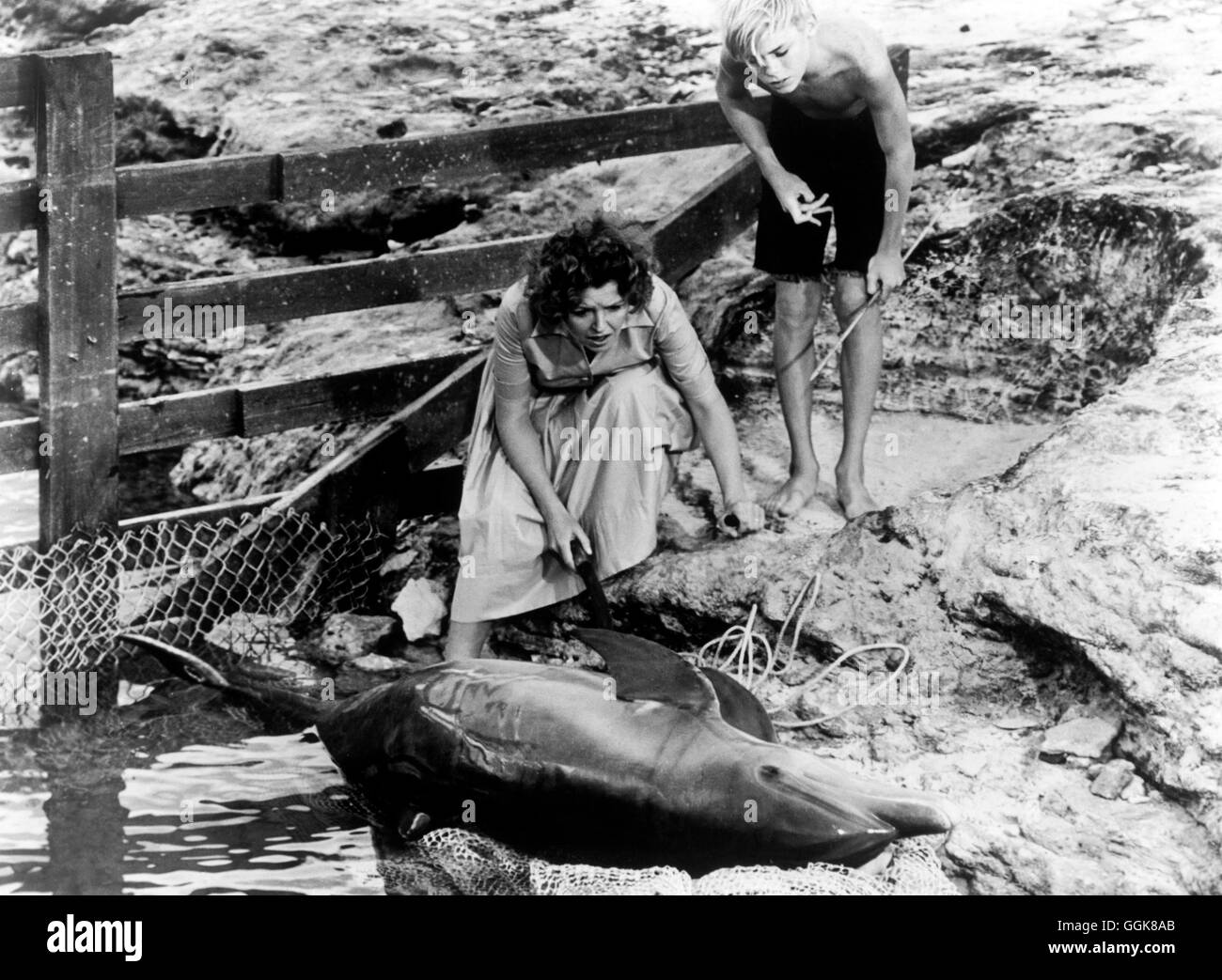 NEUES ABENTEUER MIT FLIPPER / Flipper ist neue Abenteuer USA 1963 ...