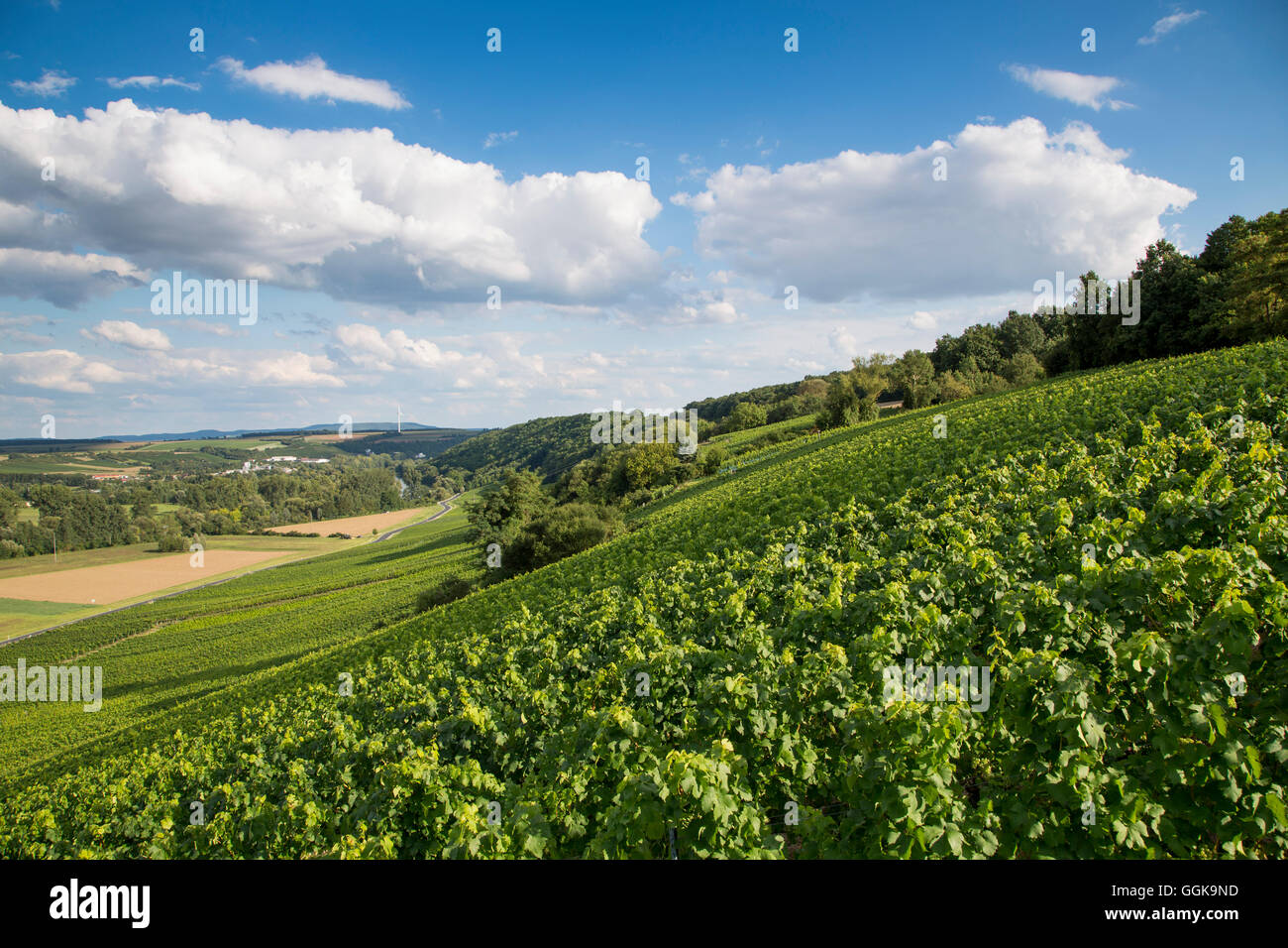 Sulzfeld am main -Fotos und -Bildmaterial in hoher Auflösung – Alamy