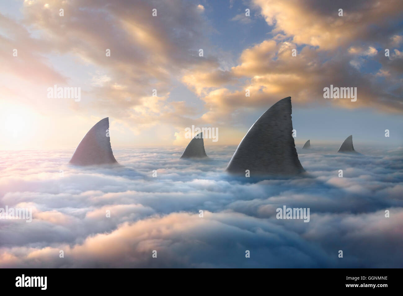 Shark fins -Fotos und -Bildmaterial in hoher Auflösung - Seite 2 - Alamy