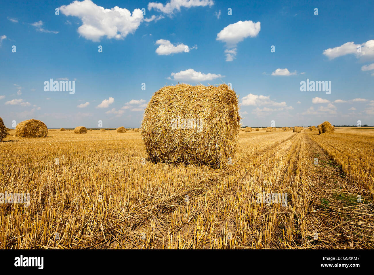 Verpackung stroh -Fotos und -Bildmaterial in hoher Auflösung – Alamy