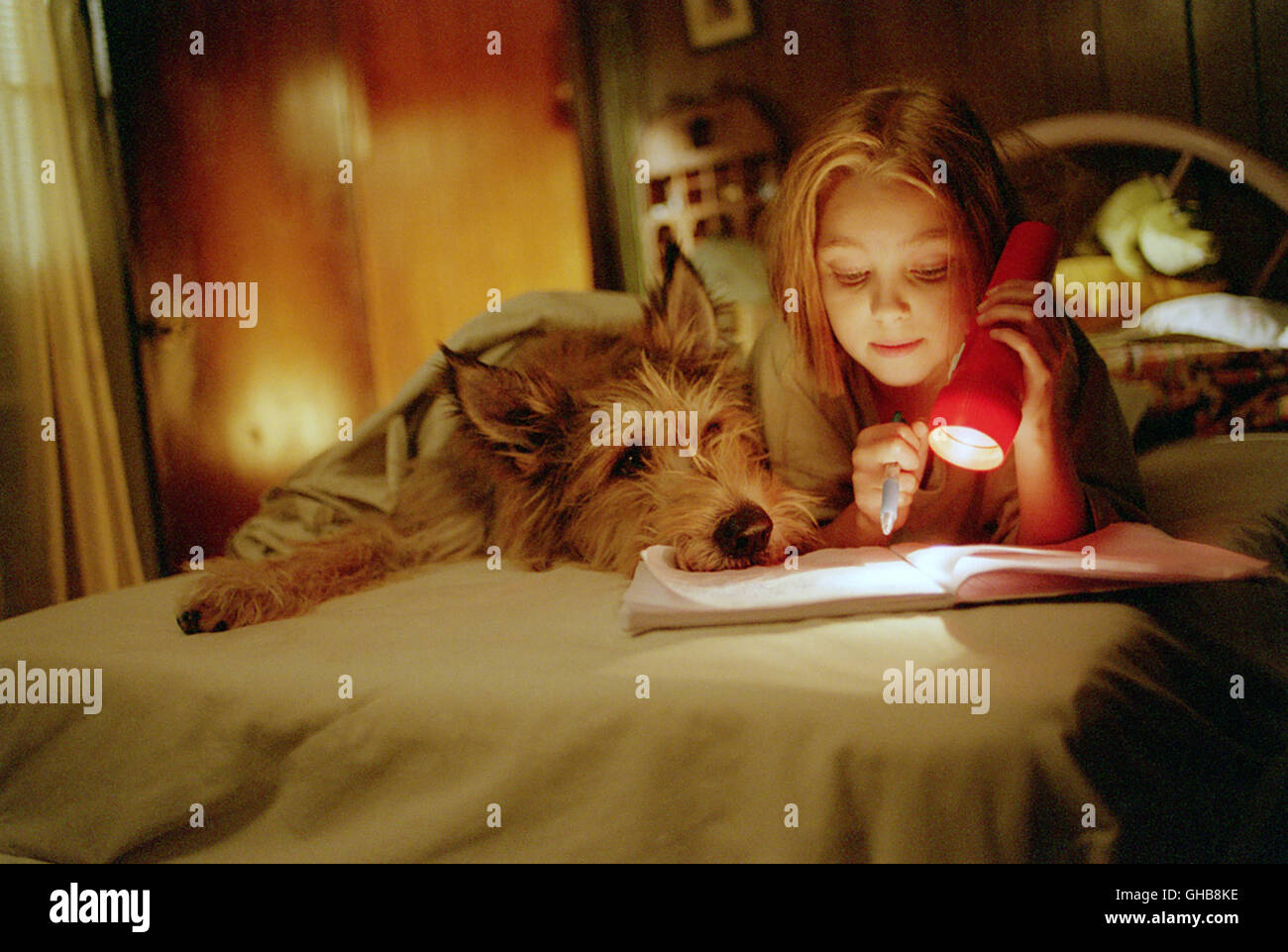 WINN-DIXIE: MEIN ZOTTELIGER FREUND wegen der Winn-Dixie USA 2005 Wayne ...