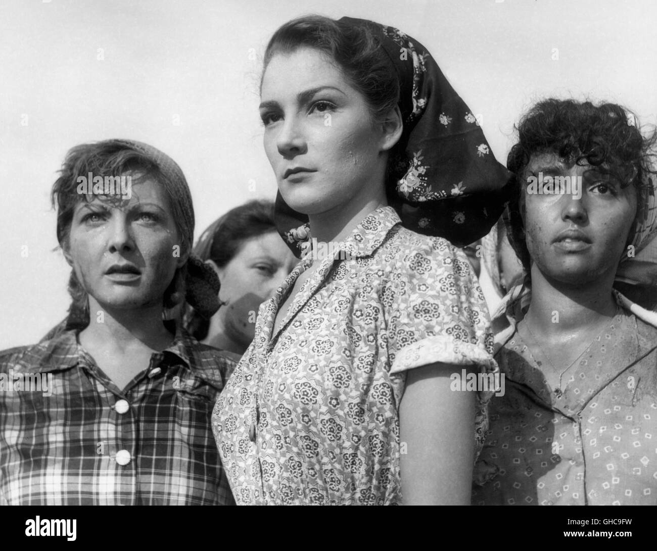 BITTERER REIS Riso Amaro Italienisch 1949 Giuseppe De Santis Francesca ...