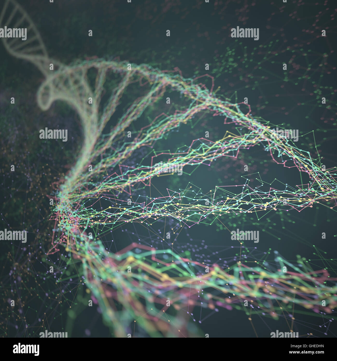 DNA-Helix, die durch Knoten und Verbindungen verbunden gefärbt ...