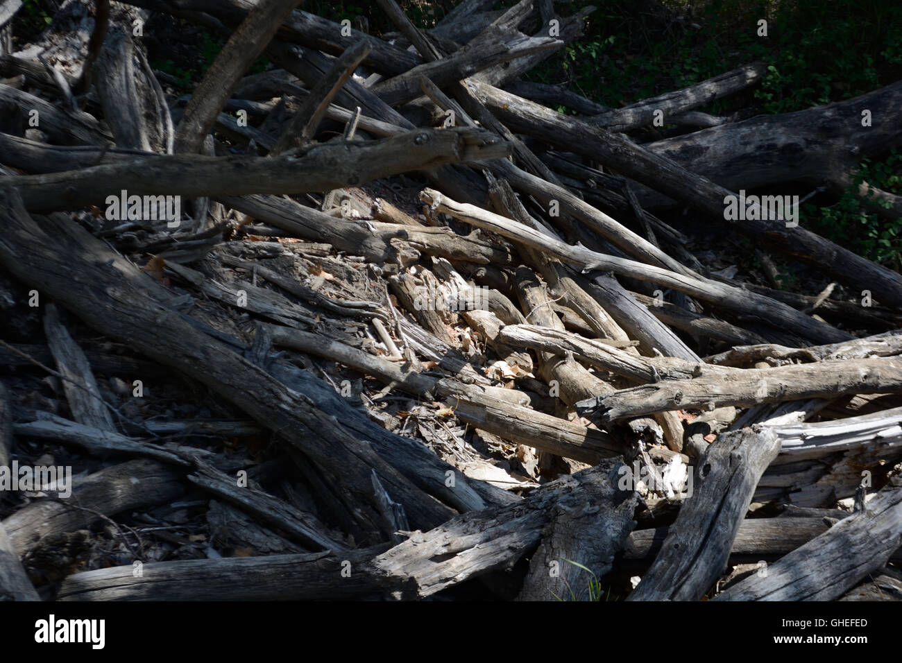 Holz moos -Fotos und -Bildmaterial in hoher Auflösung - Seite 2 - Alamy