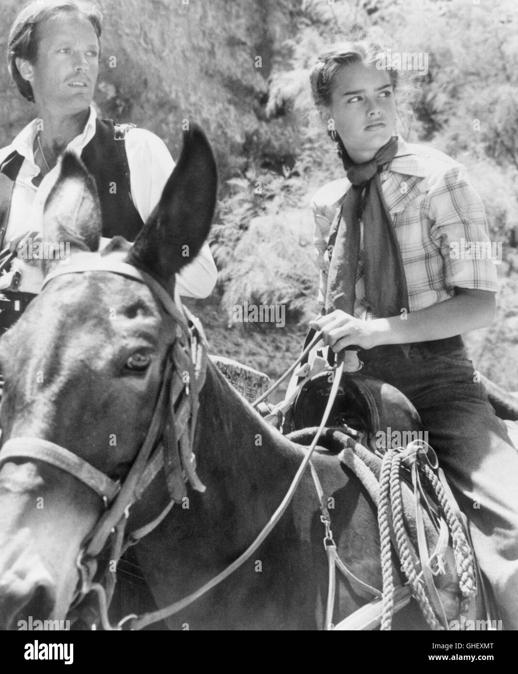 WANDA NEVADA USA 1979 Peter Fonda Beaudray Demerille (PETER FONDA) und ...