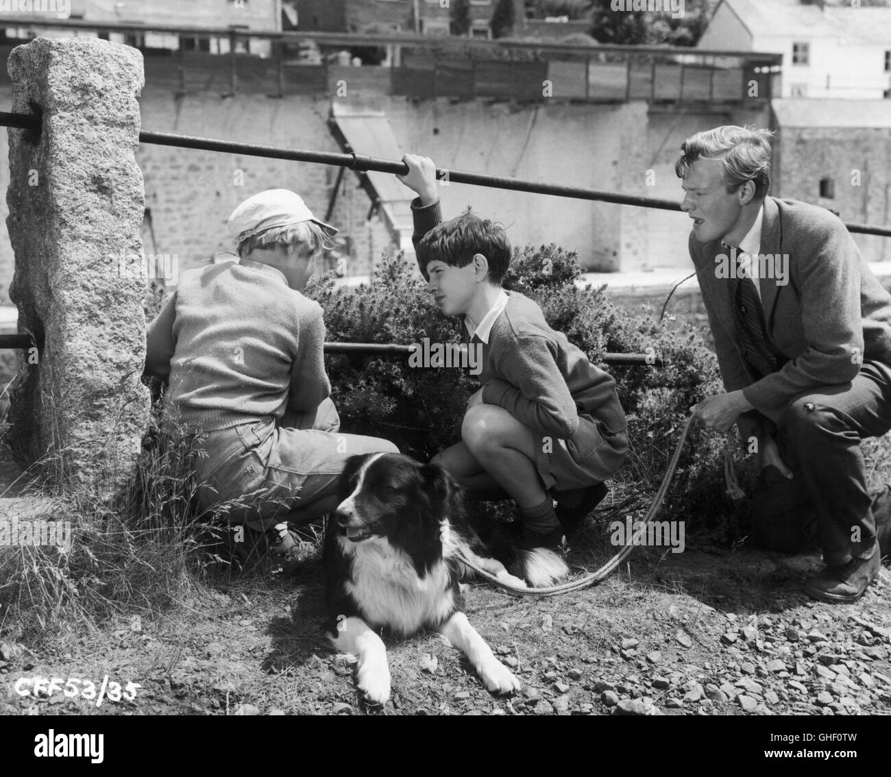 Peter copley -Fotos und -Bildmaterial in hoher Auflösung – Alamy