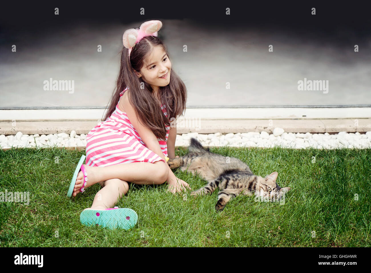 Katze mit hasenohren -Fotos und -Bildmaterial in hoher Auflösung – Alamy