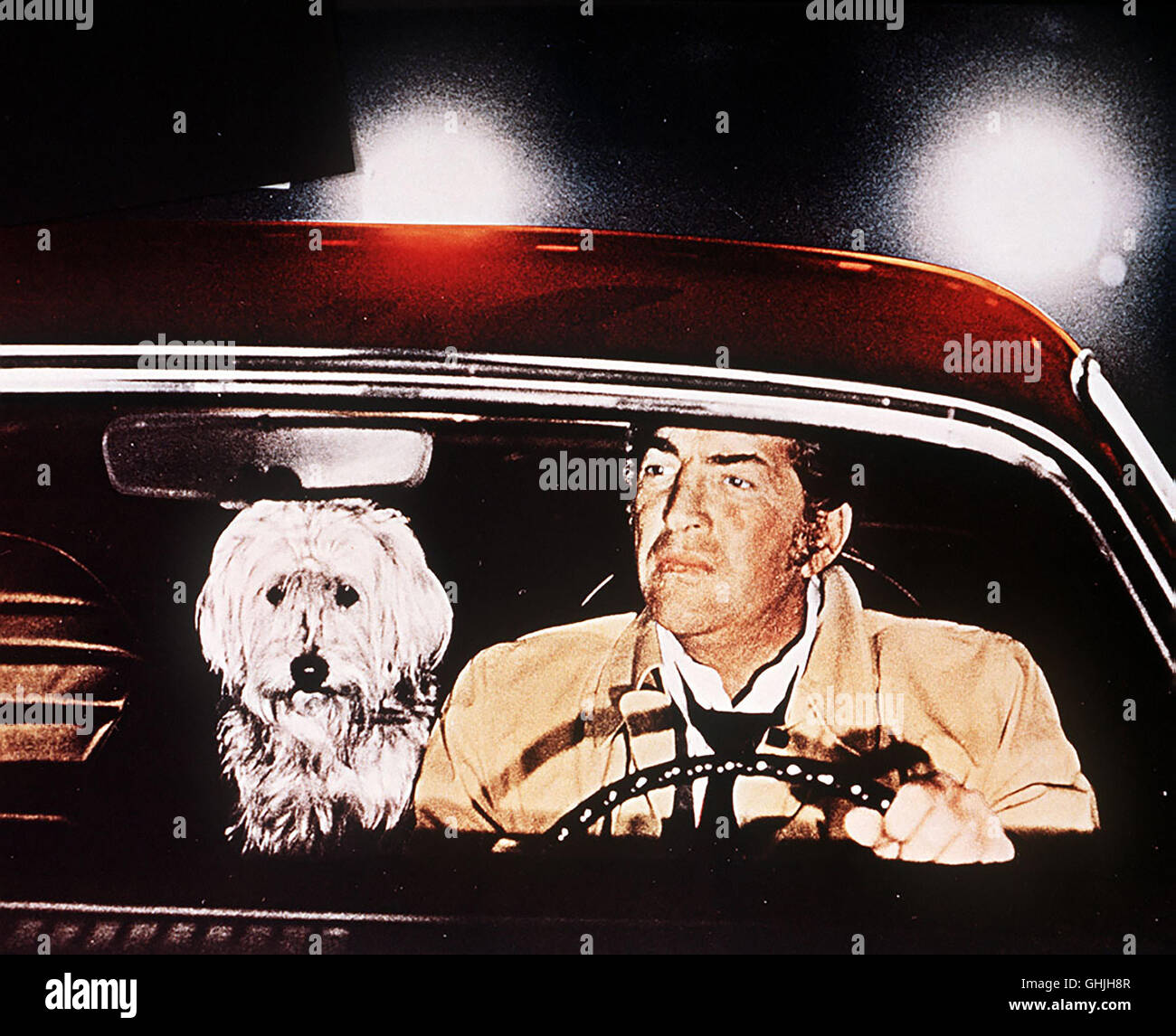 Dean paul martin martin -Fotos und -Bildmaterial in hoher Auflösung – Alamy