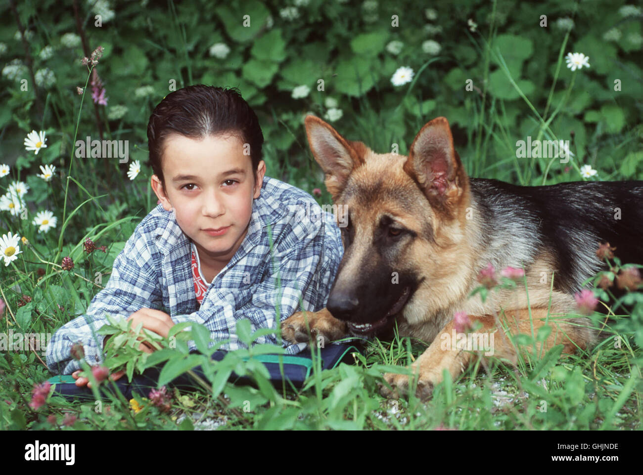 Baby rex der kleine kommissar -Fotos und -Bildmaterial in hoher ...