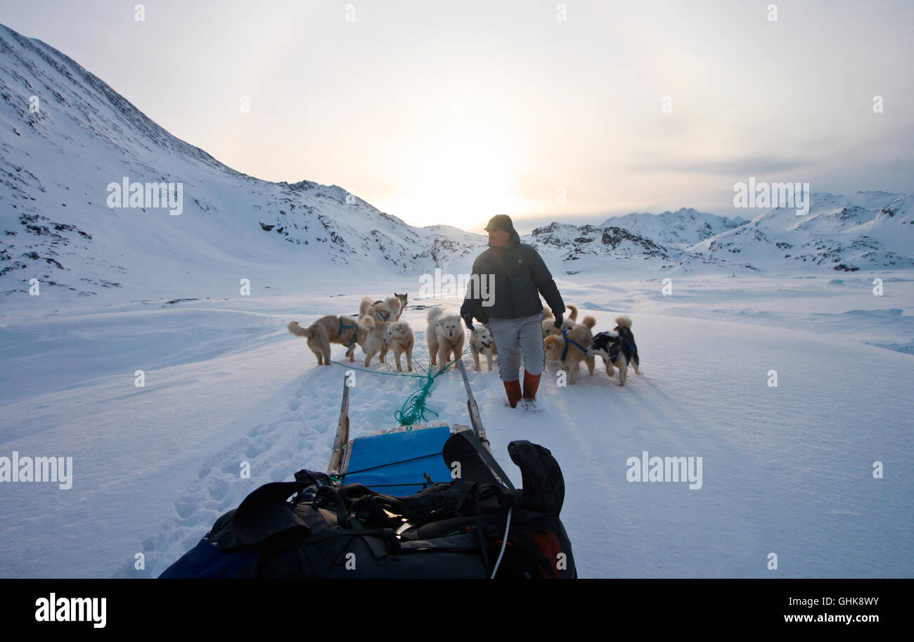 Eskimo sled -Fotos und -Bildmaterial in hoher Auflösung – Alamy