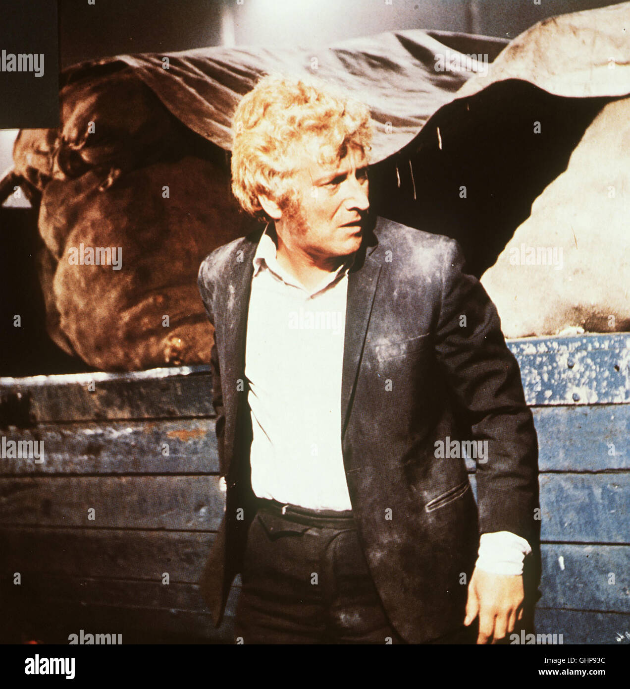 Alfred hitchcock barry -Fotos und -Bildmaterial in hoher Auflösung – Alamy