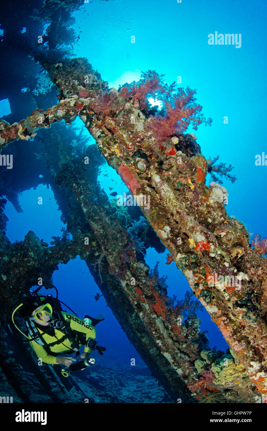 Schiffbruch erleiden Sie SS Carnatic, Taucher am Wrack, Hurghada, Shaab ...