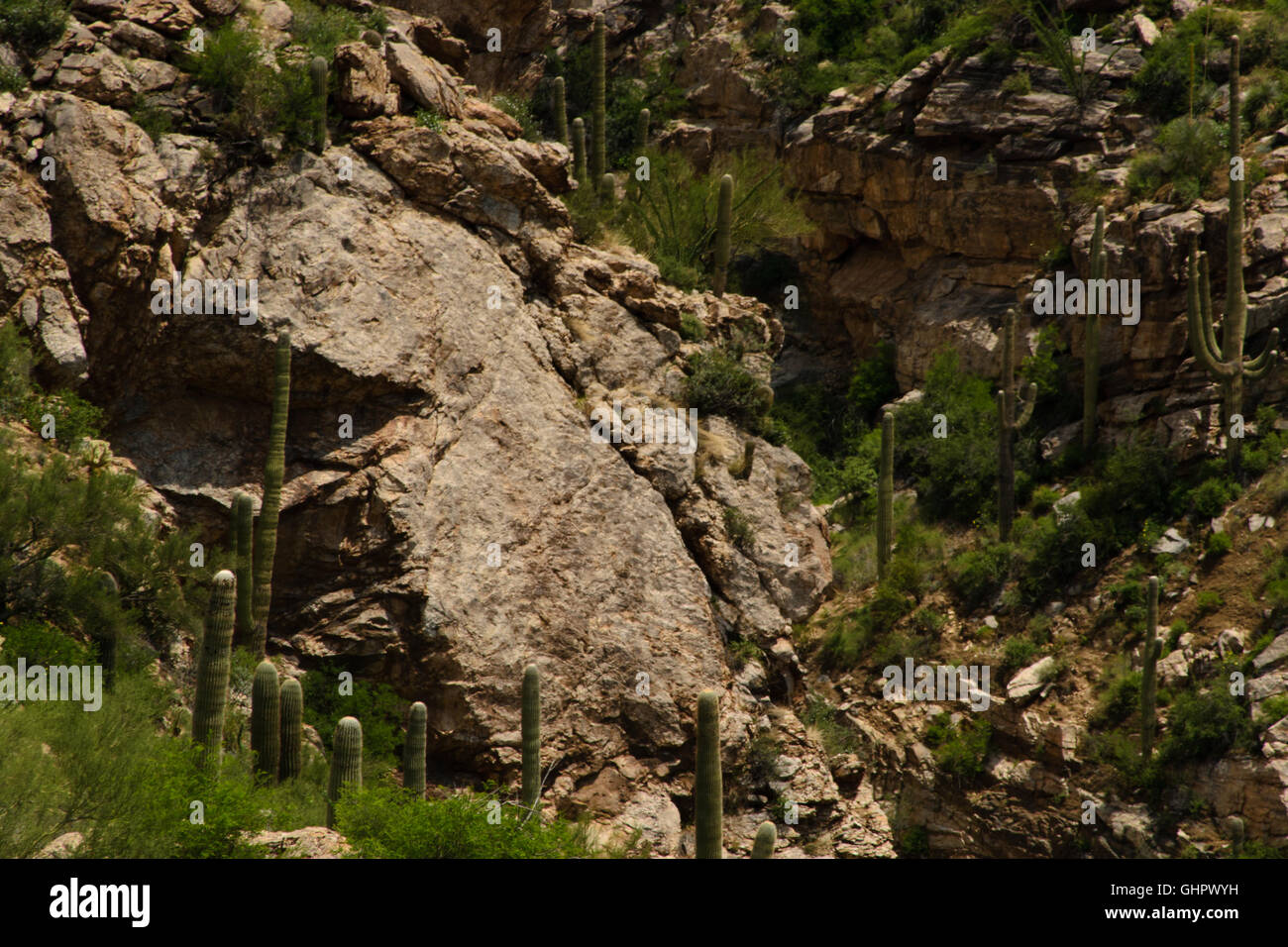Tanque verde -Fotos und -Bildmaterial in hoher Auflösung – Alamy