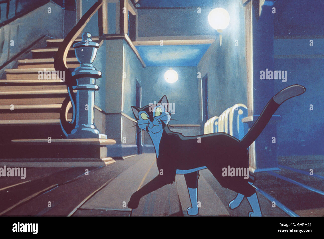 FELIDAE - Kater Francis Stößt in seit Neuen Revier Auf Eine Mordserie ...