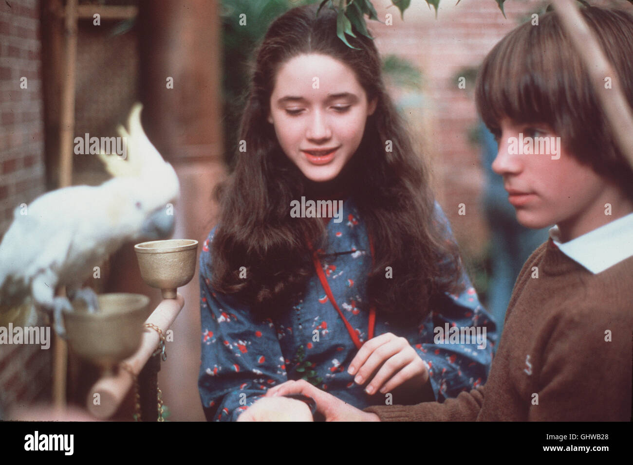 NICHT VON SCHLECHTEN ELTERN sterben - Zwölfjährige Franny (TRINI ...