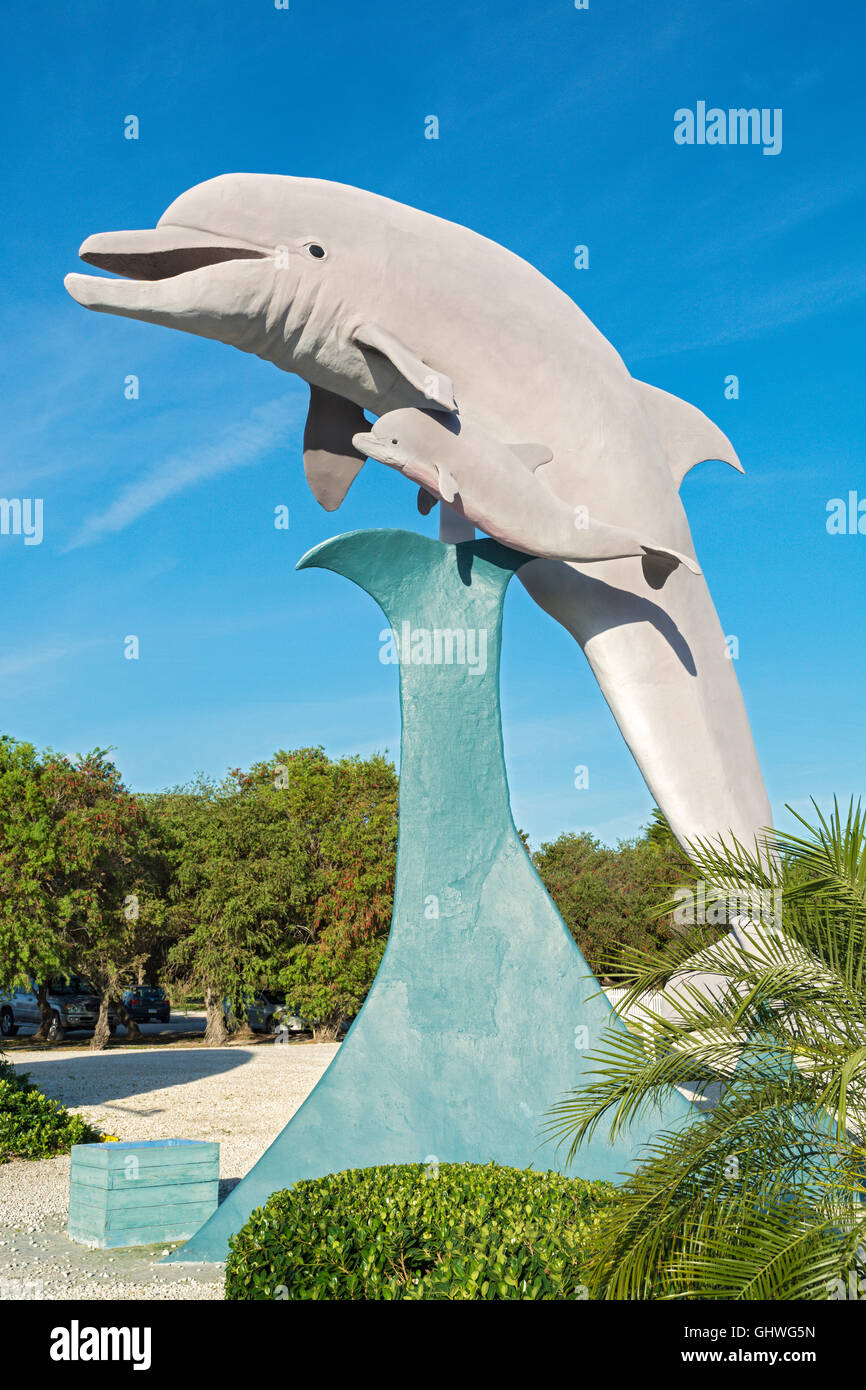 Grassy Key, Florida Keys Dolphin Research Center, Erwachsene mit Baby ...