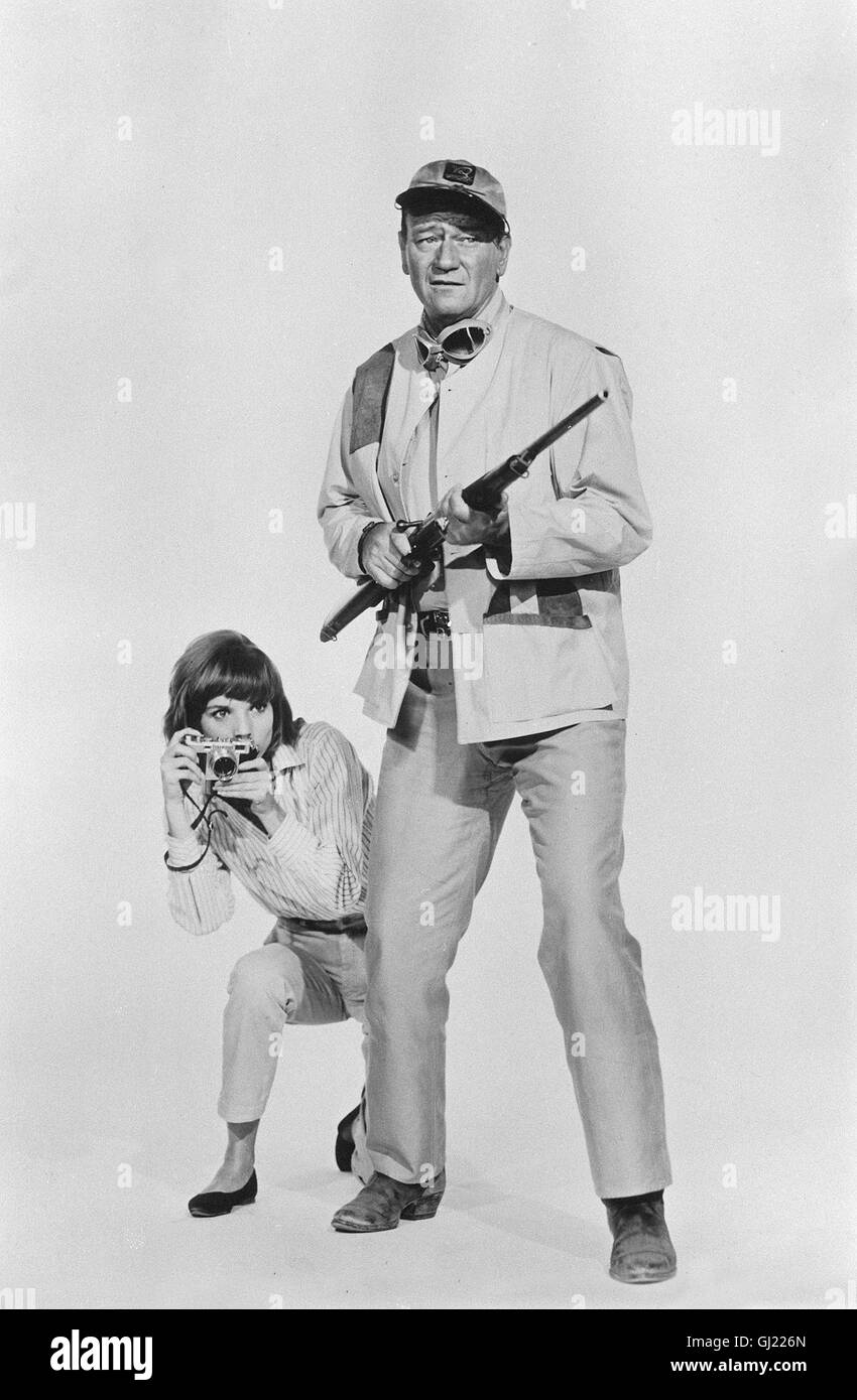 HATARI - Neben Den Gefährlichen Safaris Sorgt die Ankunft der Hübschen ...