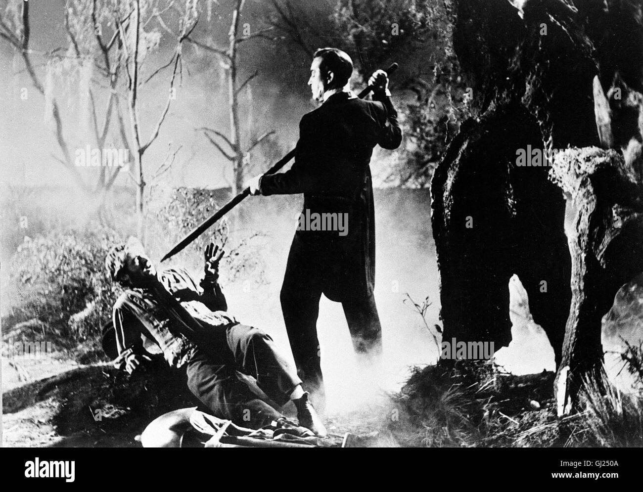 Lebentlich begraben -Fotos und -Bildmaterial in hoher Auflösung – Alamy