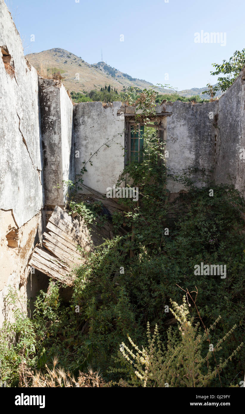 Old perithia -Fotos und -Bildmaterial in hoher Auflösung – Alamy