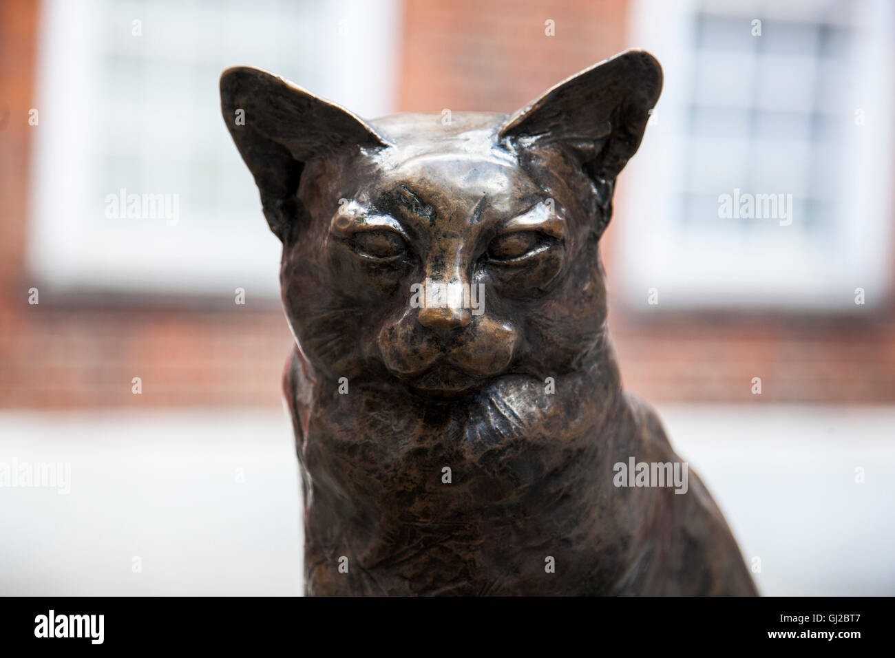 Katzenstatue in london -Fotos und -Bildmaterial in hoher Auflösung – Alamy