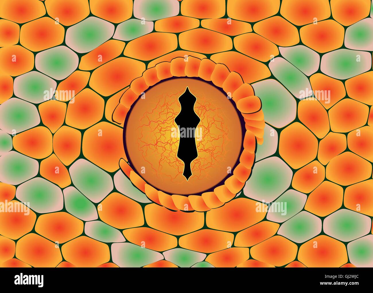 An eye Stock-Vektorgrafiken kaufen - Alamy