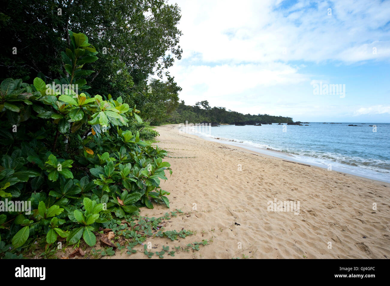 Masoala halbinsel national -Fotos und -Bildmaterial in hoher Auflösung ...