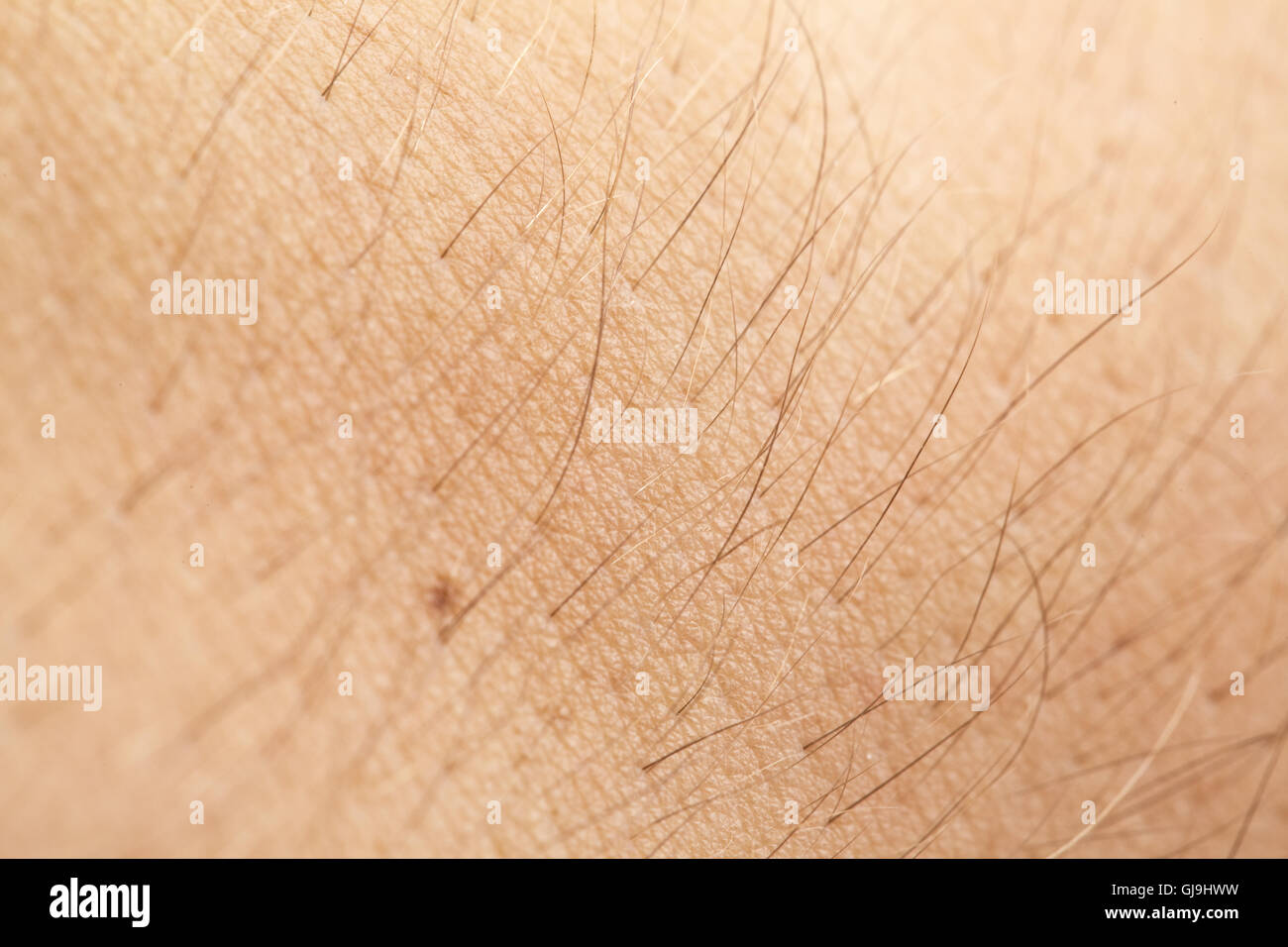 Hairy chest close up -Fotos und -Bildmaterial in hoher Auflösung – Alamy