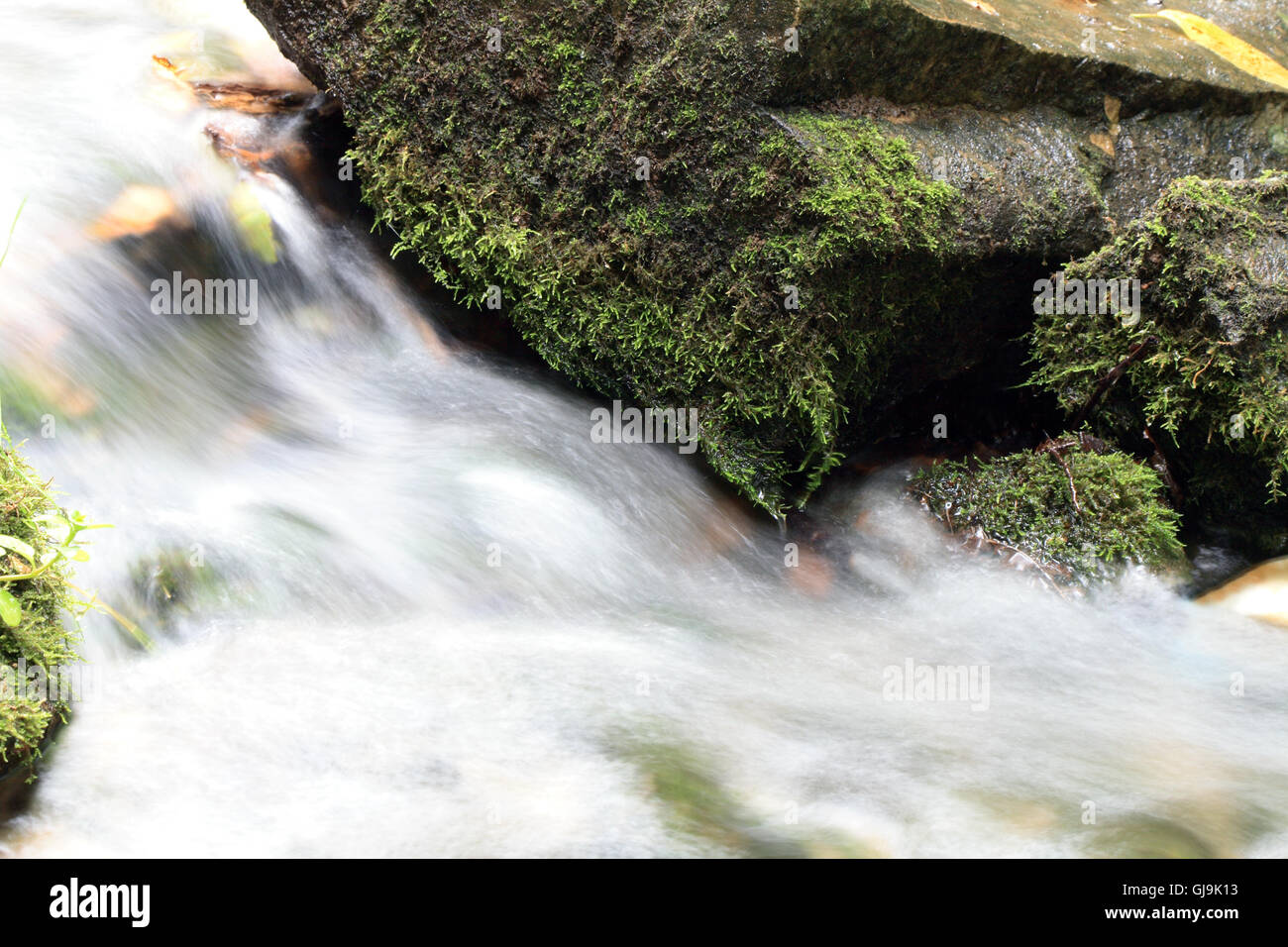 Streamen wie -Fotos und -Bildmaterial in hoher Auflösung – Alamy