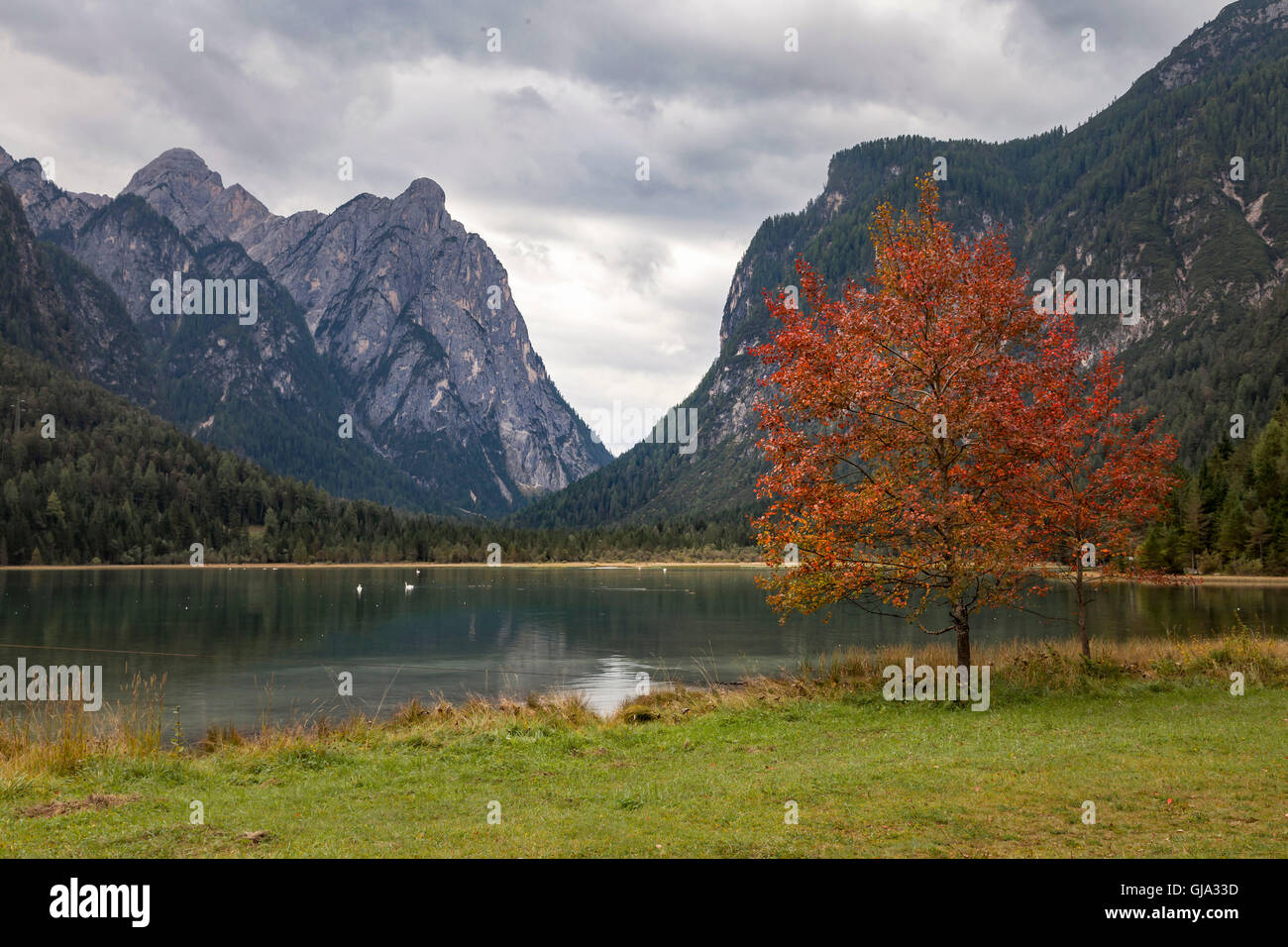 Toblacher See Stockfotos und -bilder Kaufen - Alamy