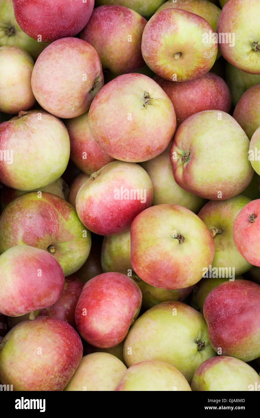 Roter apfel hautnah -Fotos und -Bildmaterial in hoher Auflösung – Alamy