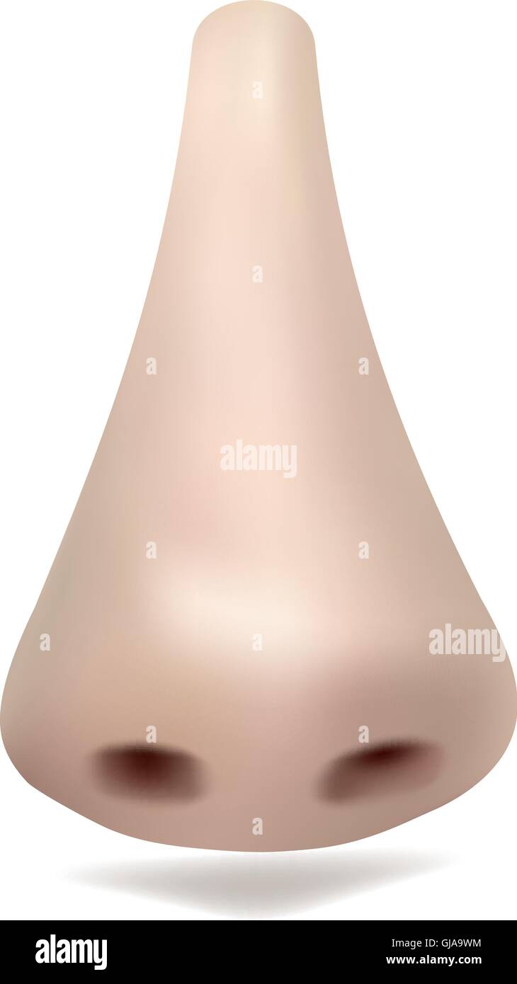 Die nase Stock-Vektorgrafiken kaufen - Alamy