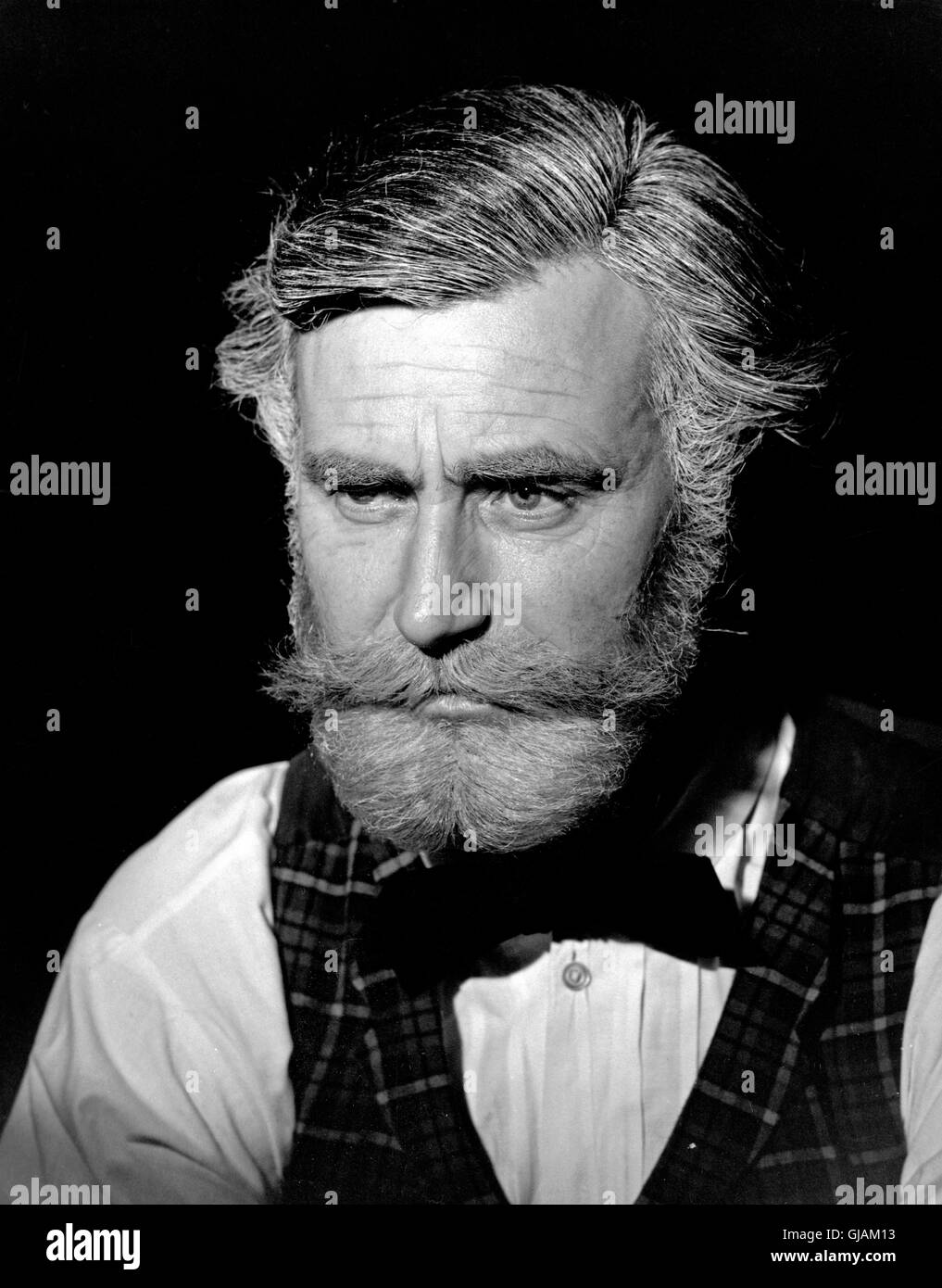 Maestro der Revolutin?, Fernsehfilm, Deutschland 1971, Regie: Ulrich ...