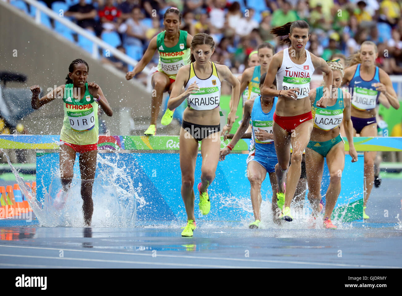 Gesa feld -Fotos und -Bildmaterial in hoher Auflösung – Alamy