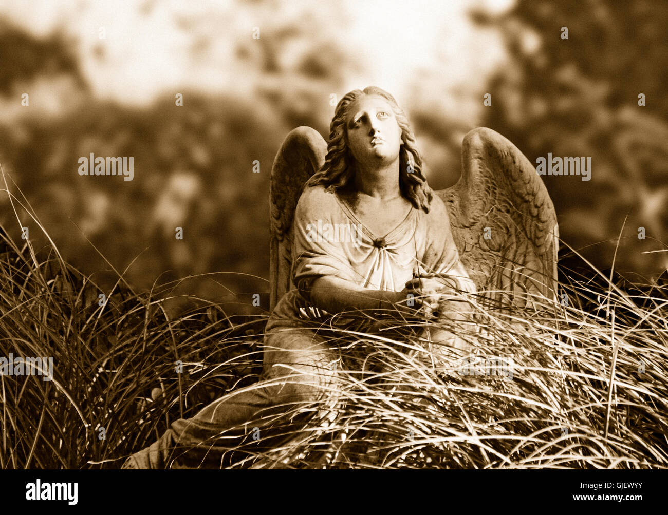 Statue des todes -Fotos und -Bildmaterial in hoher Auflösung – Alamy