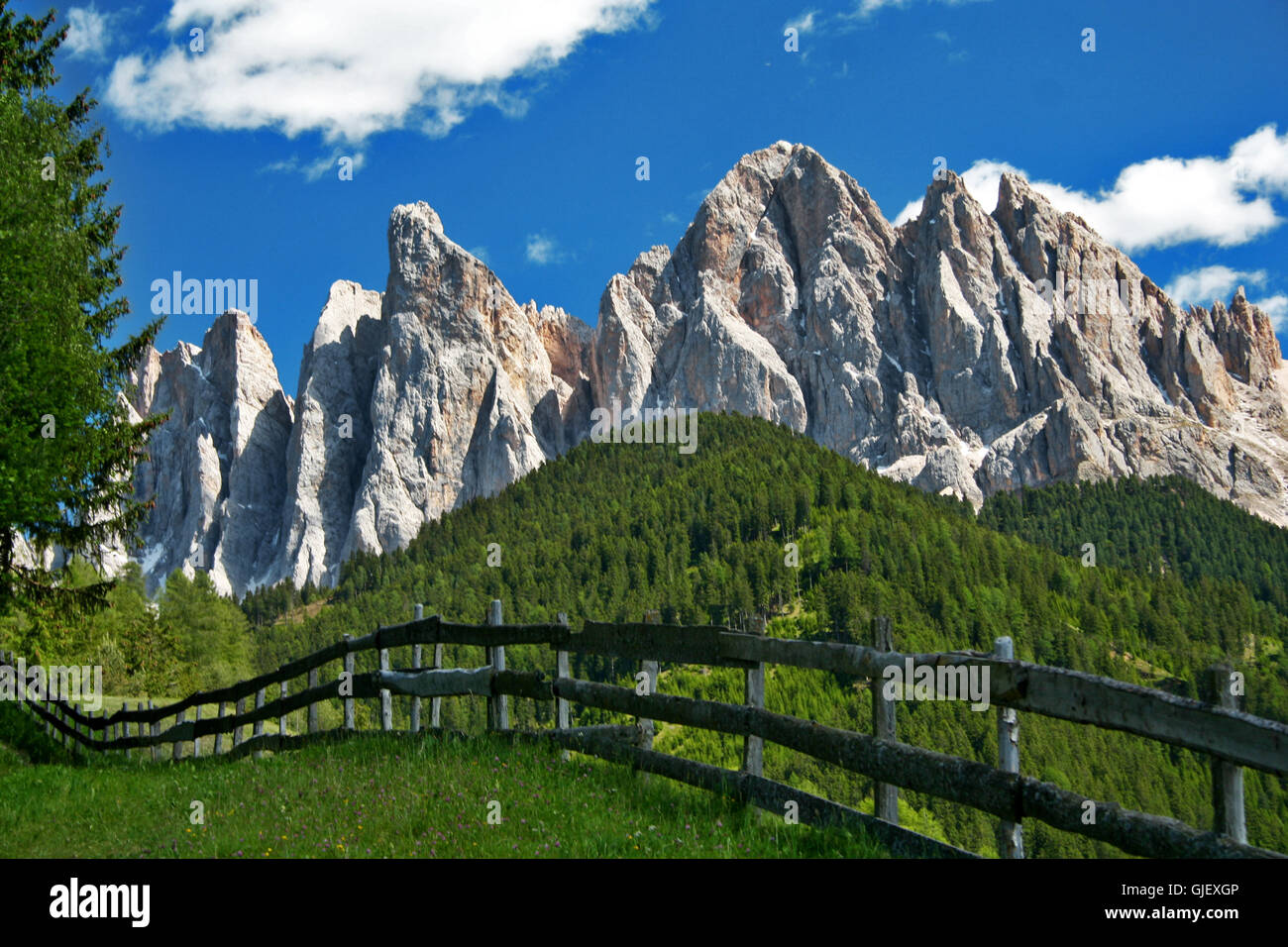 Vilnoss -Fotos und -Bildmaterial in hoher Auflösung – Alamy