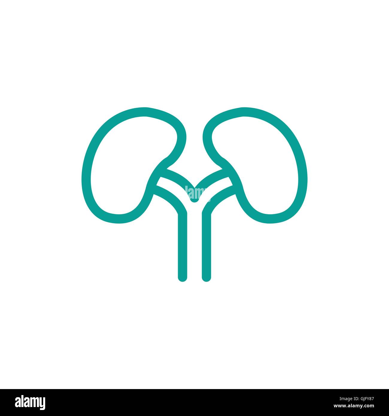 Urologie symbol Stock-Vektorgrafiken kaufen - Alamy