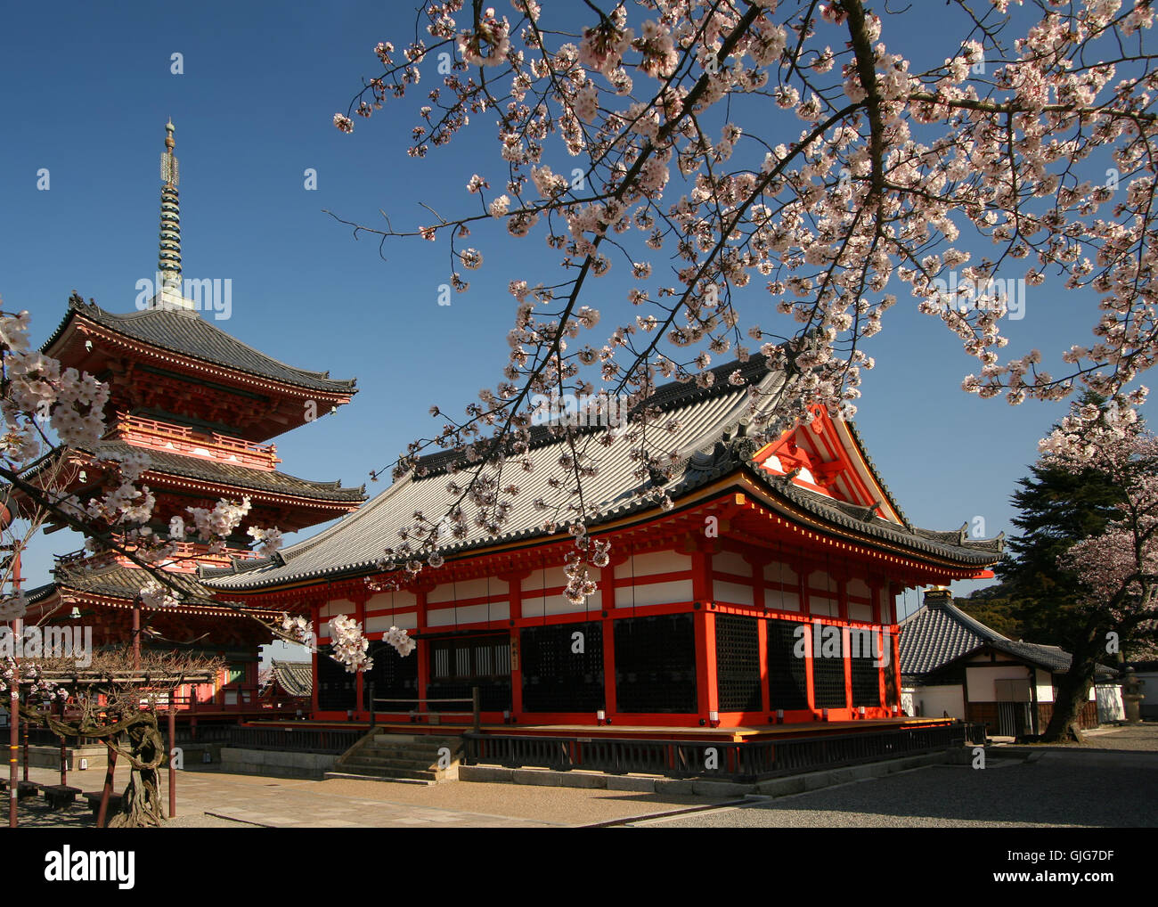 Kyoto hanami temple -Fotos und -Bildmaterial in hoher Auflösung – Alamy