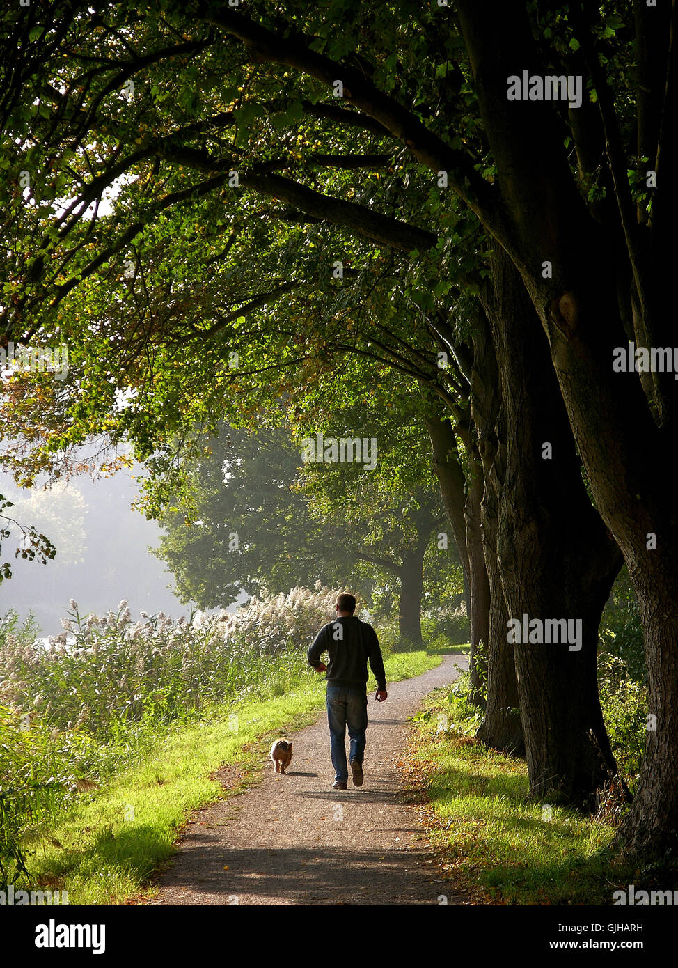 Gassi gehen -Fotos und -Bildmaterial in hoher Auflösung – Alamy