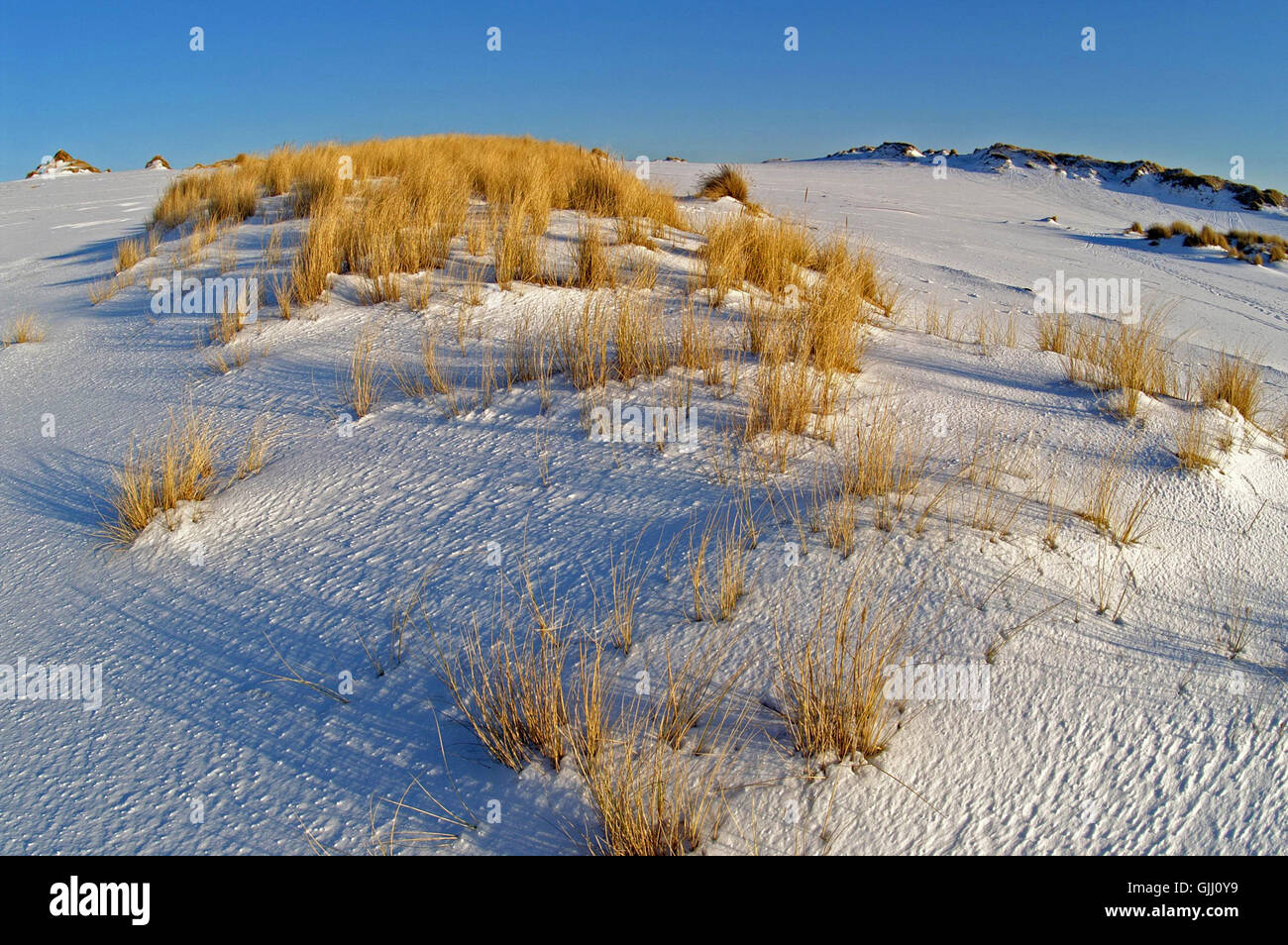 Wanderdünen sylt -Fotos und -Bildmaterial in hoher Auflösung – Alamy